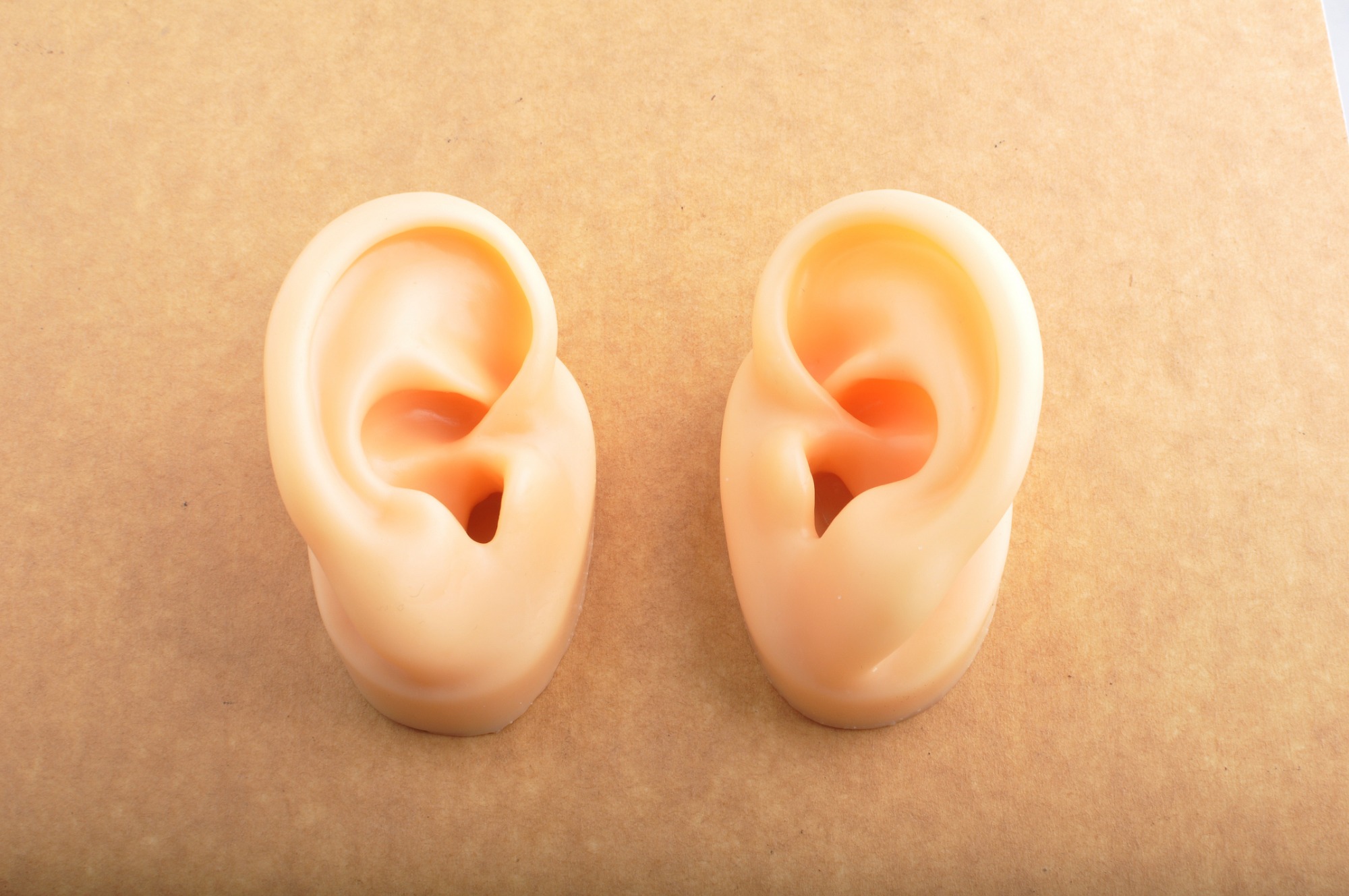 Nine Safe Piercing silicone organ model ear 2pcs/bagGJ-09